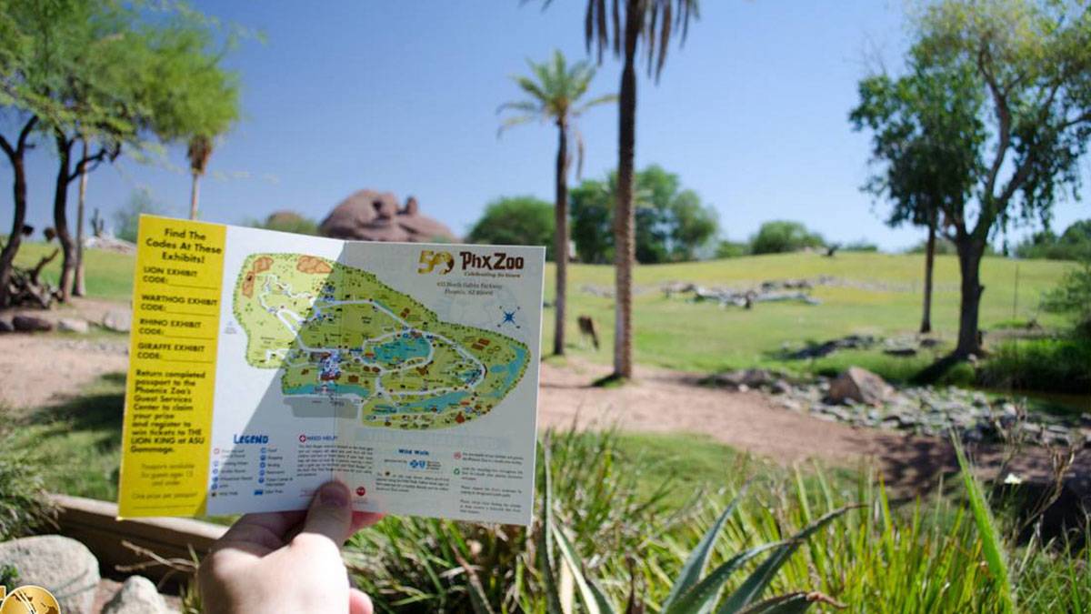 Phoenix Zoo Discount Tickets: 2023 Ultimate Guide