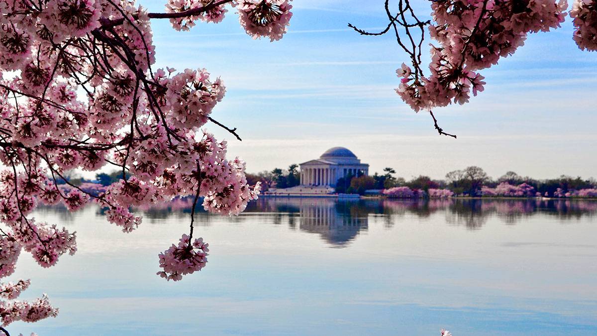 Washington DC Walking Tour - 10 Best Options for Your Visit